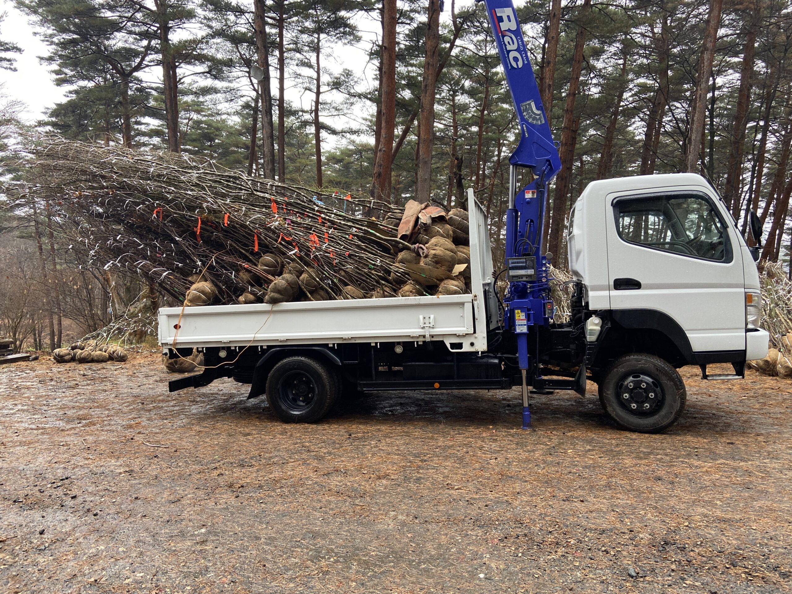 img_8105 | 大類造苑